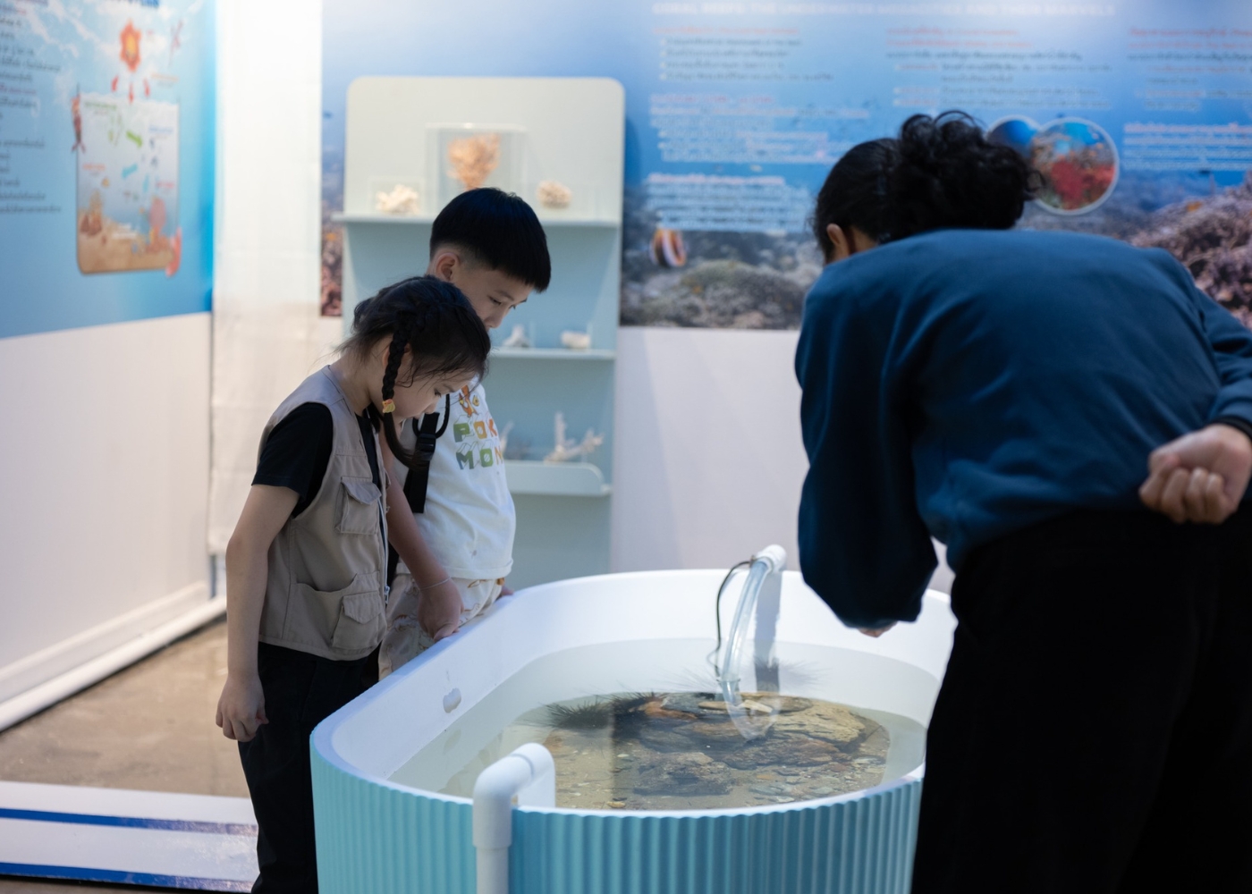 Sea-nema Experience: An Exhibition About the Ocean