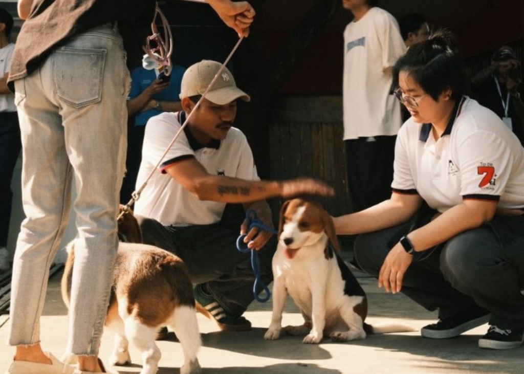 The biggest Beagles meet-up is happening in Bangkok