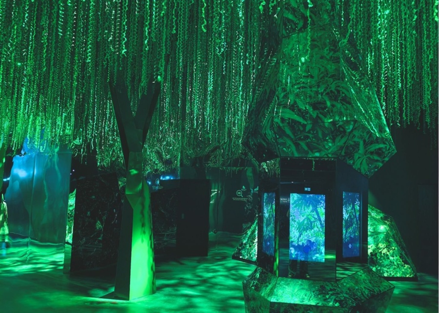 FIRST LOOK: Exploria, Mandai's newest immersive experience